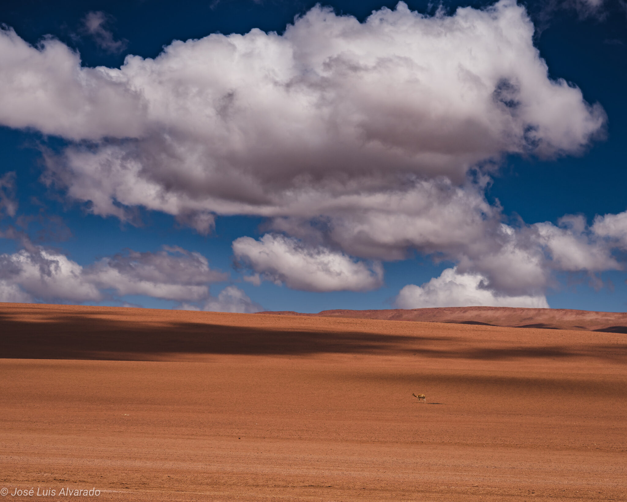 Norte Grande de Chile – Paisajes, naturaleza y lugares mágicos
